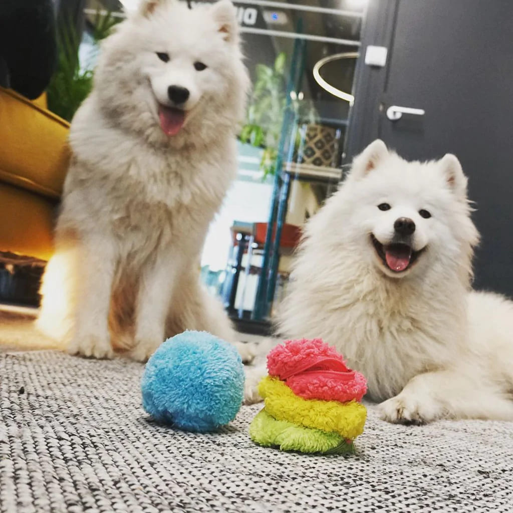 Active Rolling Ball – WhiskerGizmo