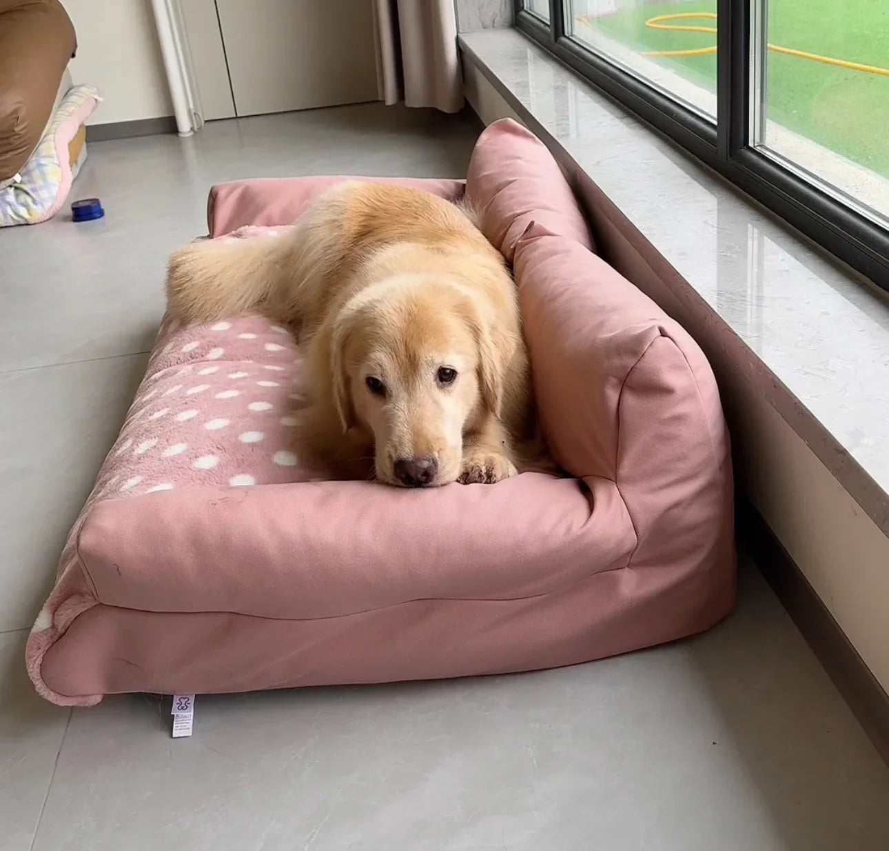Squishy Bed – WhiskerGizmo